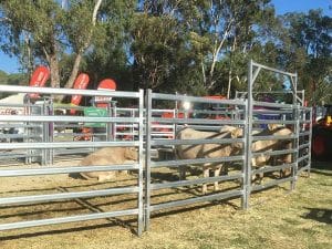 Los mejores paneles de corral para ganado 2024 - Huade Fence